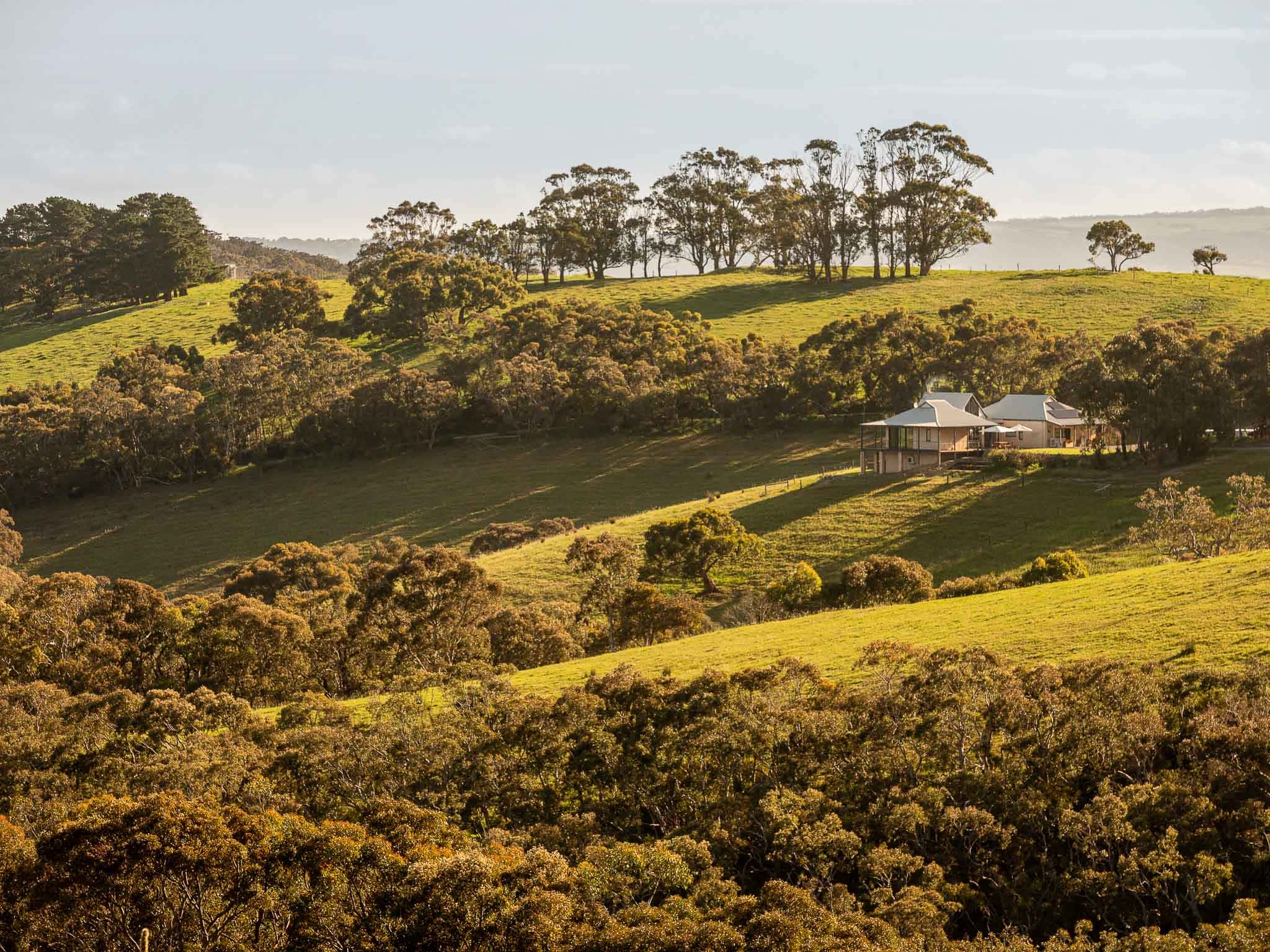 Gallery | Old Coach Road Estate