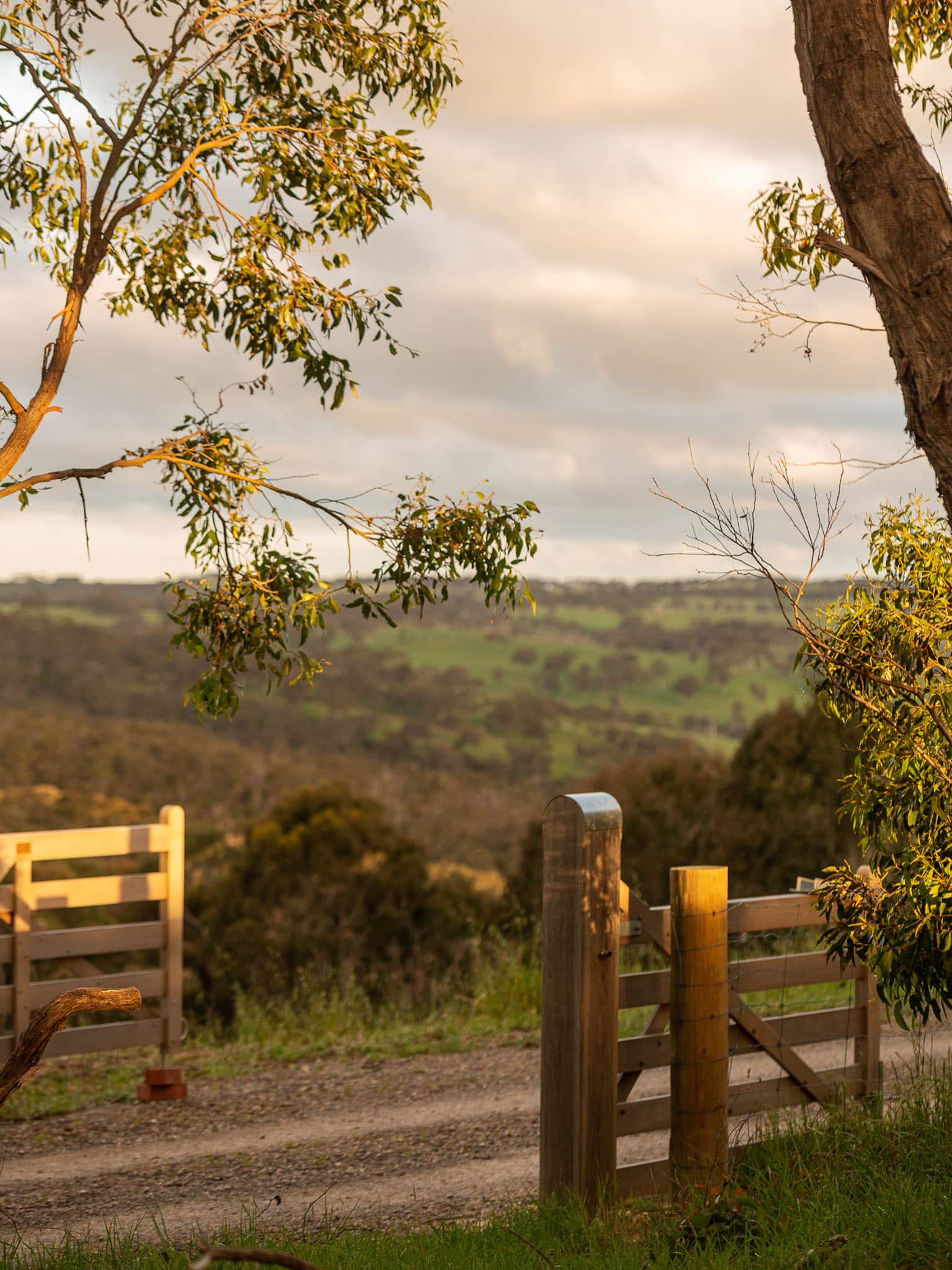 One Night Stay for Picnic Guests | Old Coach Road Estate